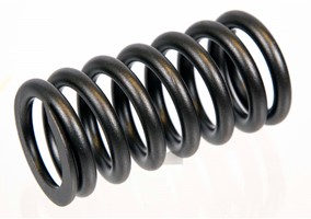 Valve spring for Volvo Penta 861701 For 24 valves